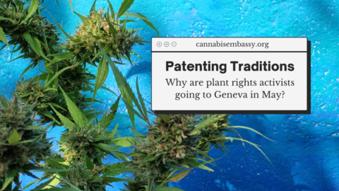 GRATK: a New Treaty against the Patenting of Traditions & Nature • FDM ...